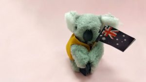 Guide to Toy and Children’s Product Standards in Australia