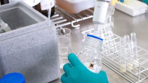List of Product Lab Testing Companies in Canada: Our Top 9 Picks