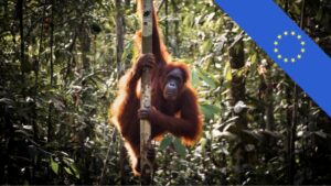 EUDR Country Risk Classification: A Practical Guide